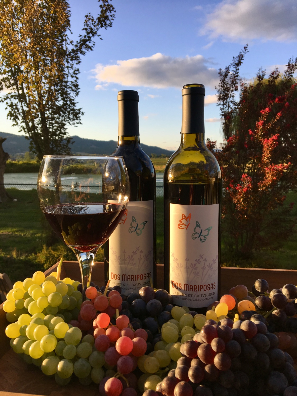 Wine & Cider - Dos Mariposas Vineyard